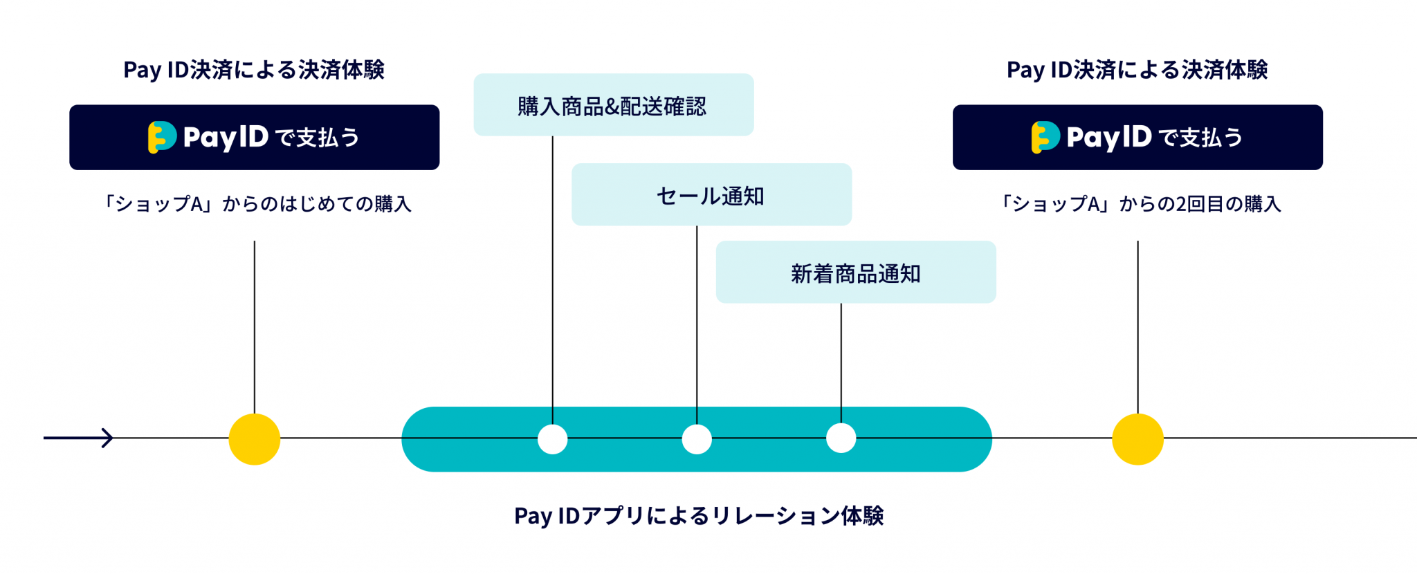 ショッピングアプリ「BASE」・ID決済サービス「PAY ID」の名称・ロゴ・アイコン変更について（ショップオーナー様向け） - BASE U｜ベイスのネットショップ開設・運営・集客を解説する ...